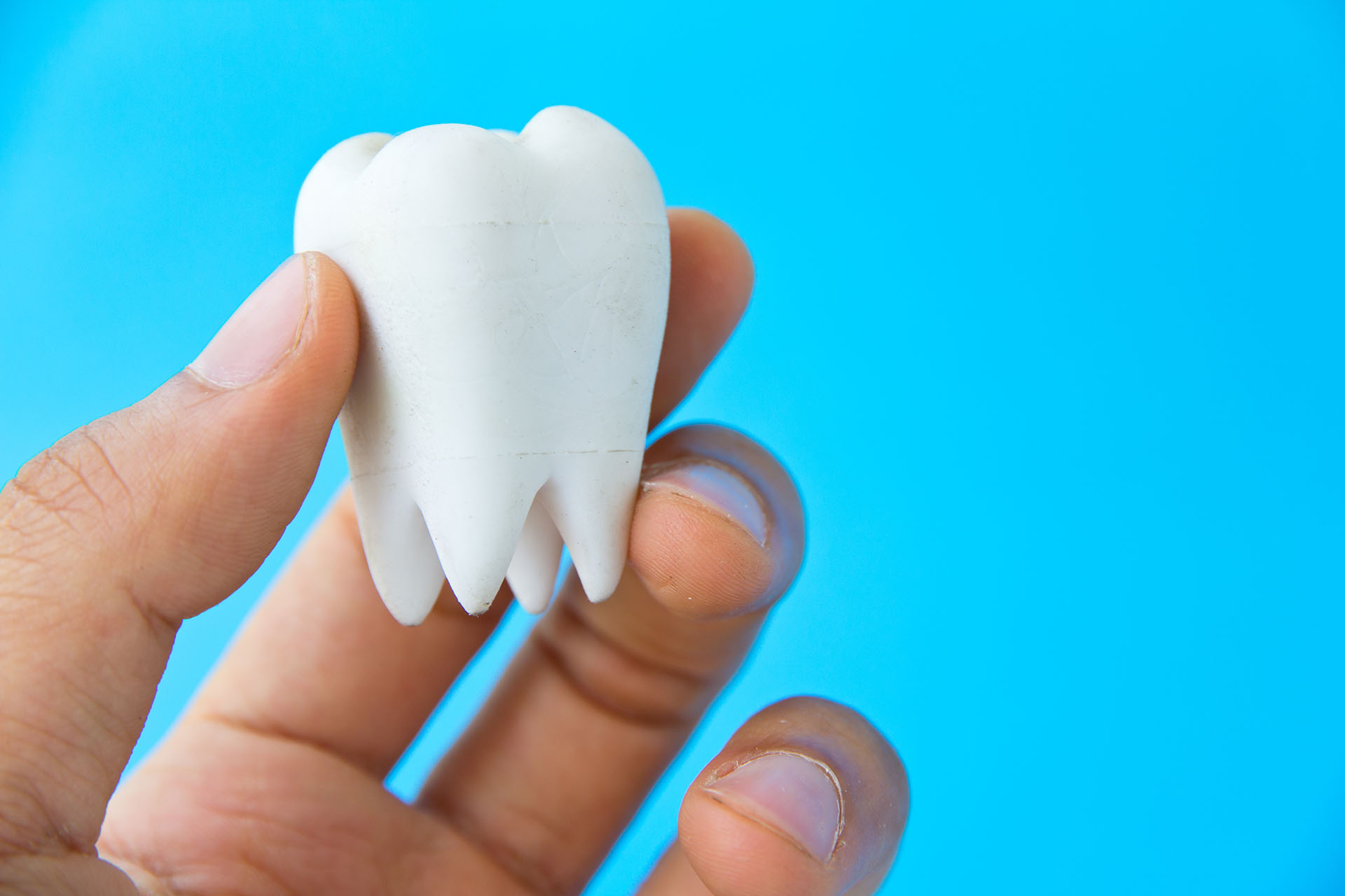 About wisdom teeth | Stomatološka ordinacija Rijeka - Irena lušičić, dr ...